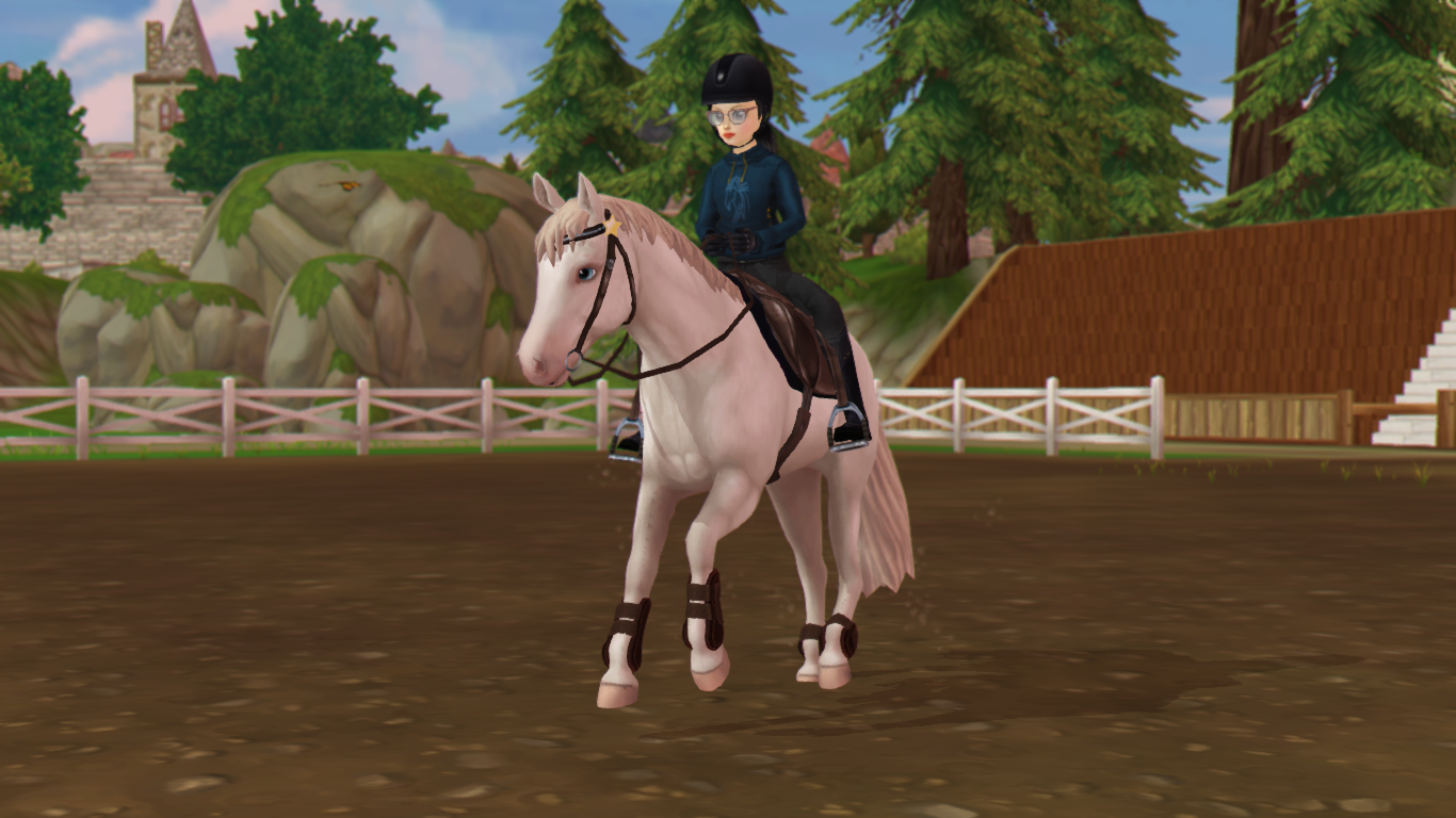 palvelut :: SunField Stables